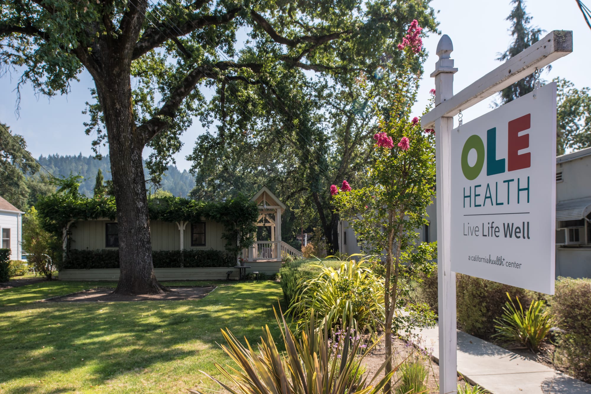 OLE Health plans Calistoga expansion – Calistoga Tribune