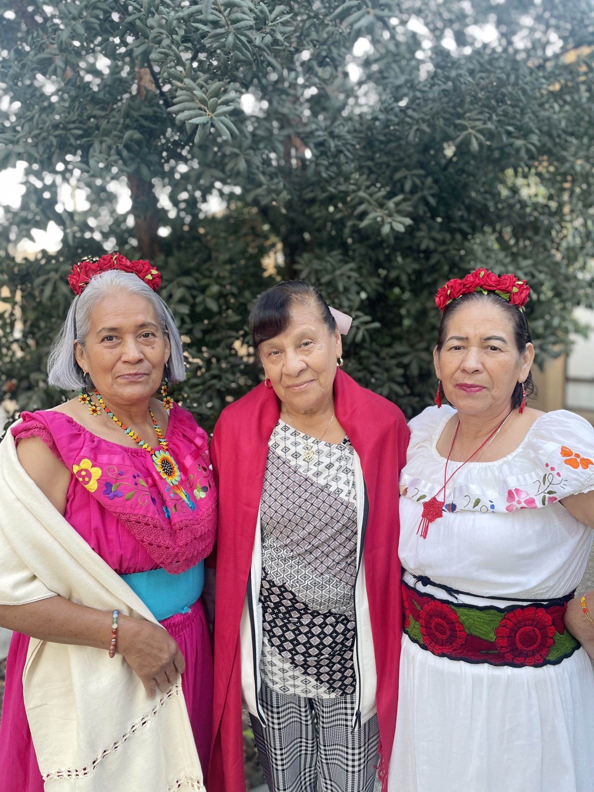 ‘We value you’: Latino seniors celebrated at Noche Mexicana – Calistoga ...
